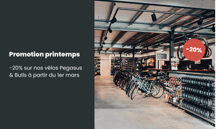 Promotion de printemps : -20% sur nos vélos Pegasus et Bulls du 1er ...